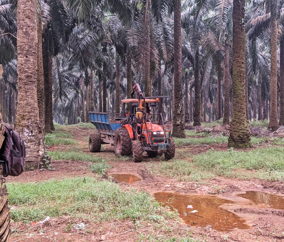 Fungsi Alat Berat Perkebunan Kelapa Sawit dan Tips Perawatannya ...