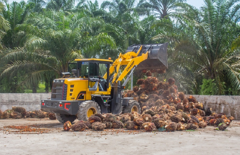 Fungsi Alat Berat Perkebunan Kelapa Sawit dan Tips Perawatannya ...